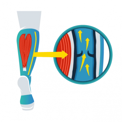 Science – Angeion Medical – Aerowrap